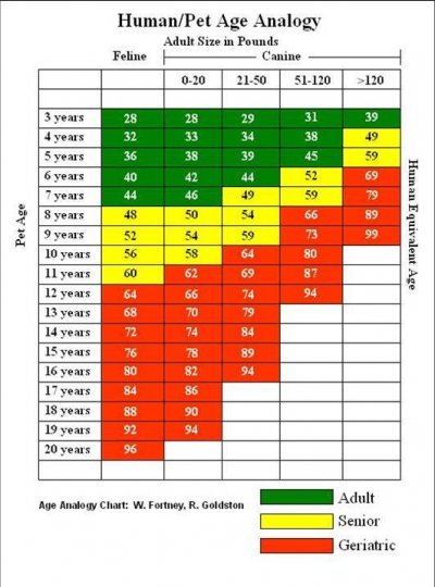 Animal age chart - xolerlets